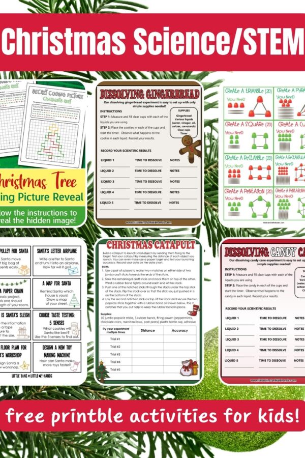 Printable Christmas Science Worksheets - Little Bins for Little Hands