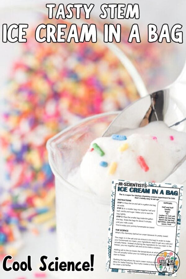 How to Make Ice Cream in a Bag (Fun Kids Science Experiment)