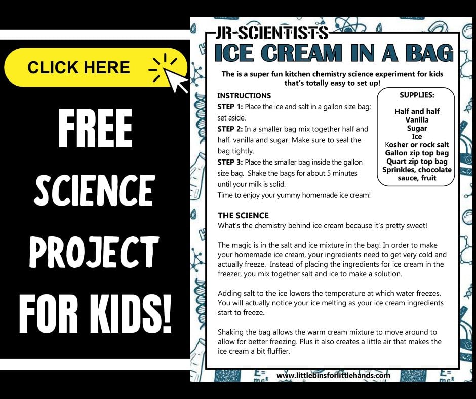 How to Make Ice Cream in a Bag (Fun Kids Science Experiment)