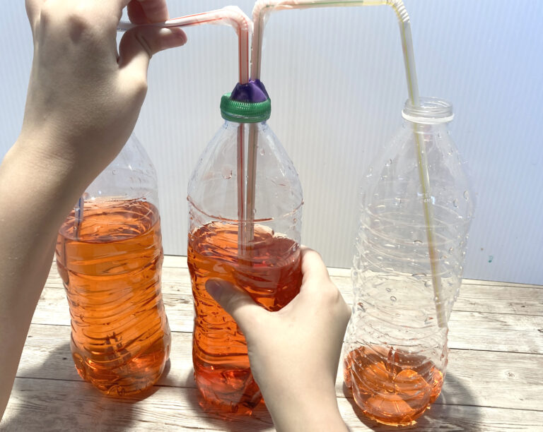 Heart Model STEM Project - Little Bins for Little Hands
