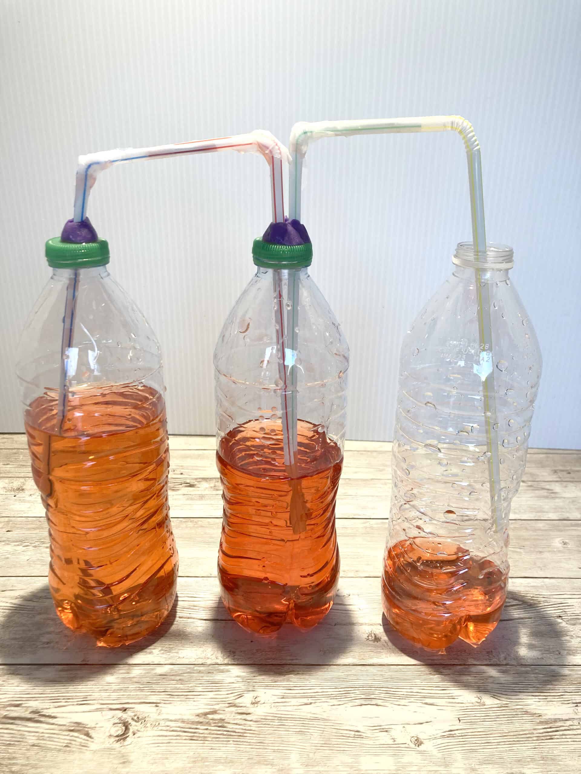 Pumping Heart Model for Kids | Easy Human Anatomy Activity