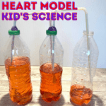 Heart Rate Experiment Science Project