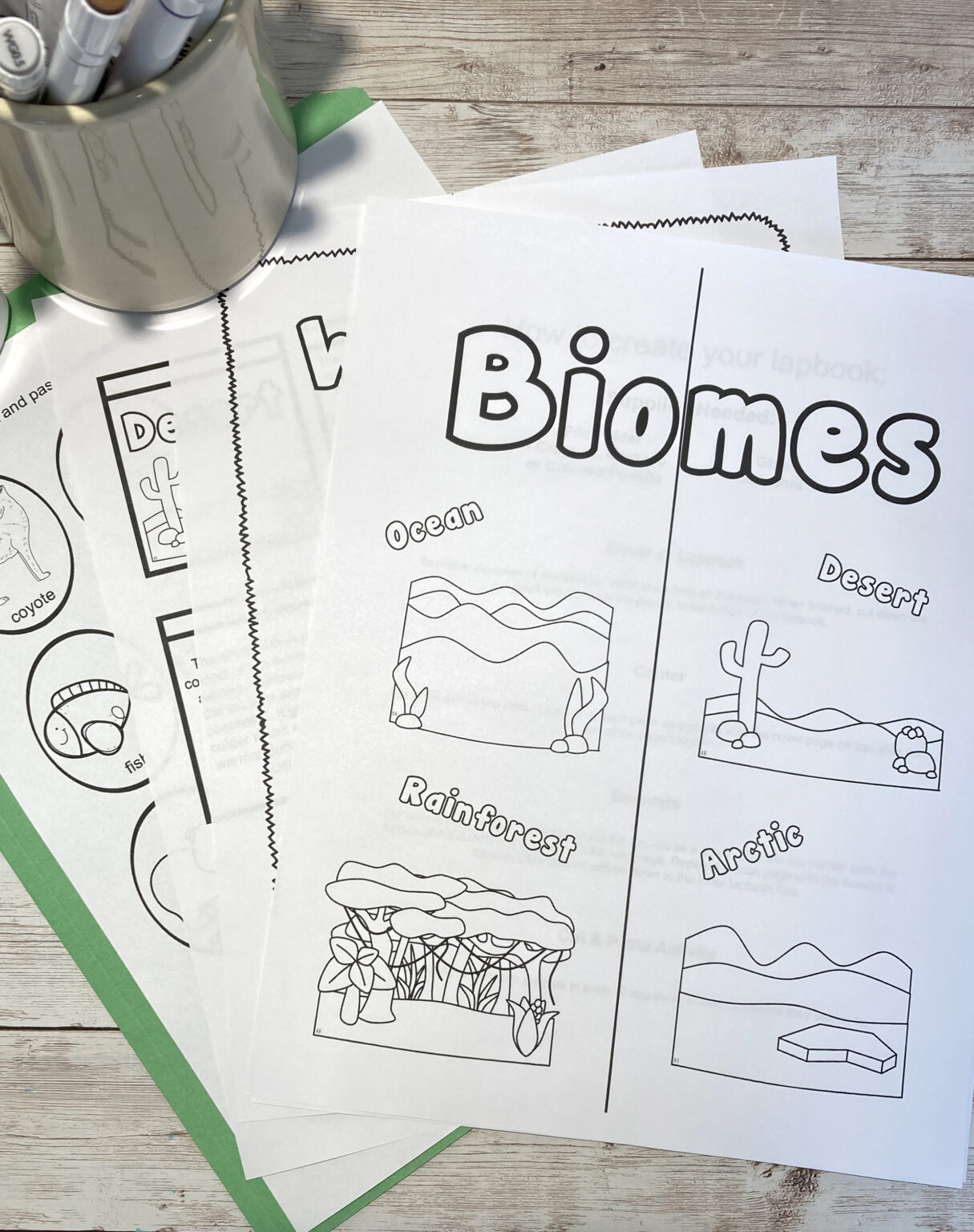 Printable Biomes Lapbook Activity - Little Bins for Little Hands
