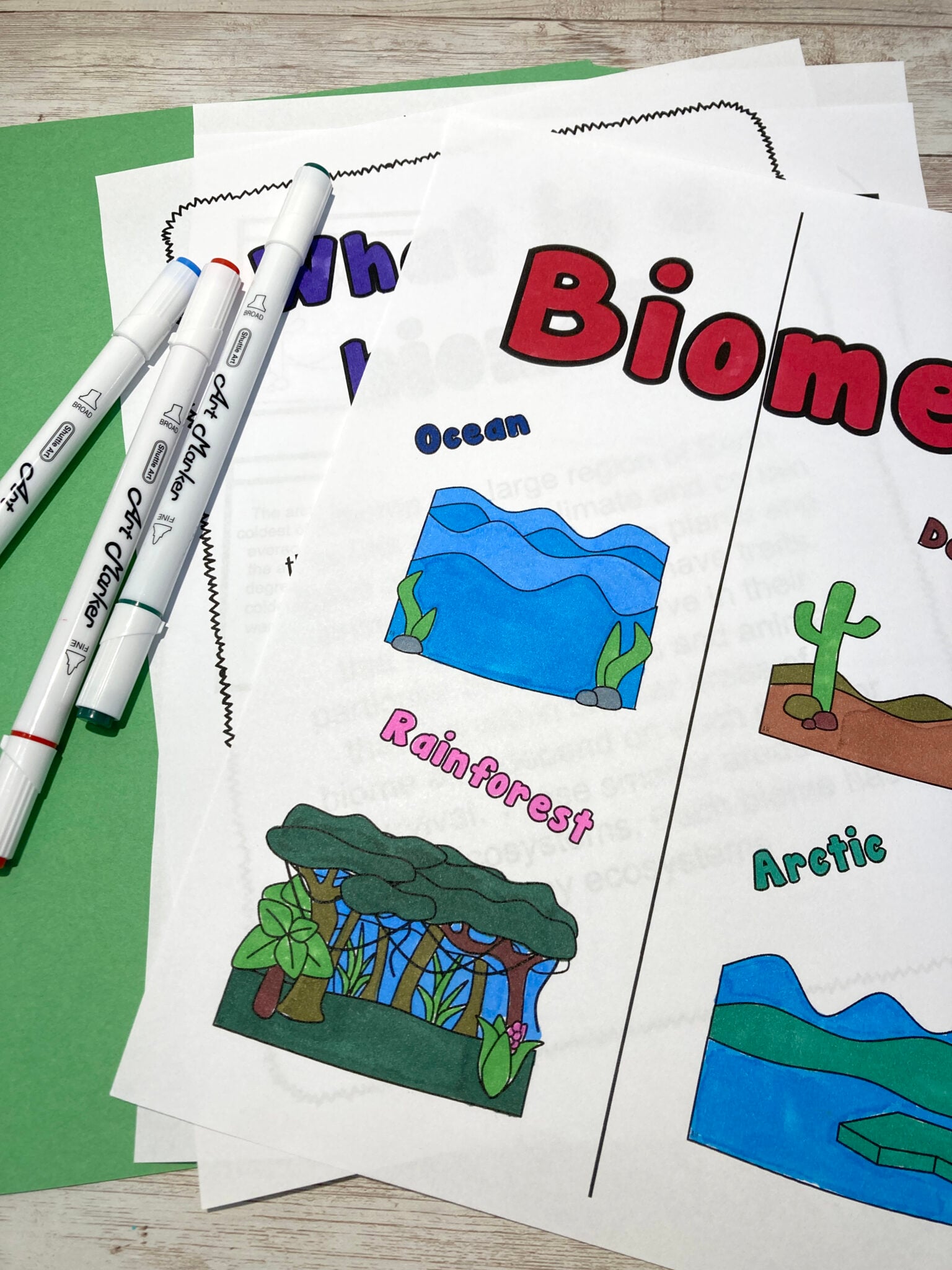 Printable Biomes Lapbook Activity - Little Bins for Little Hands
