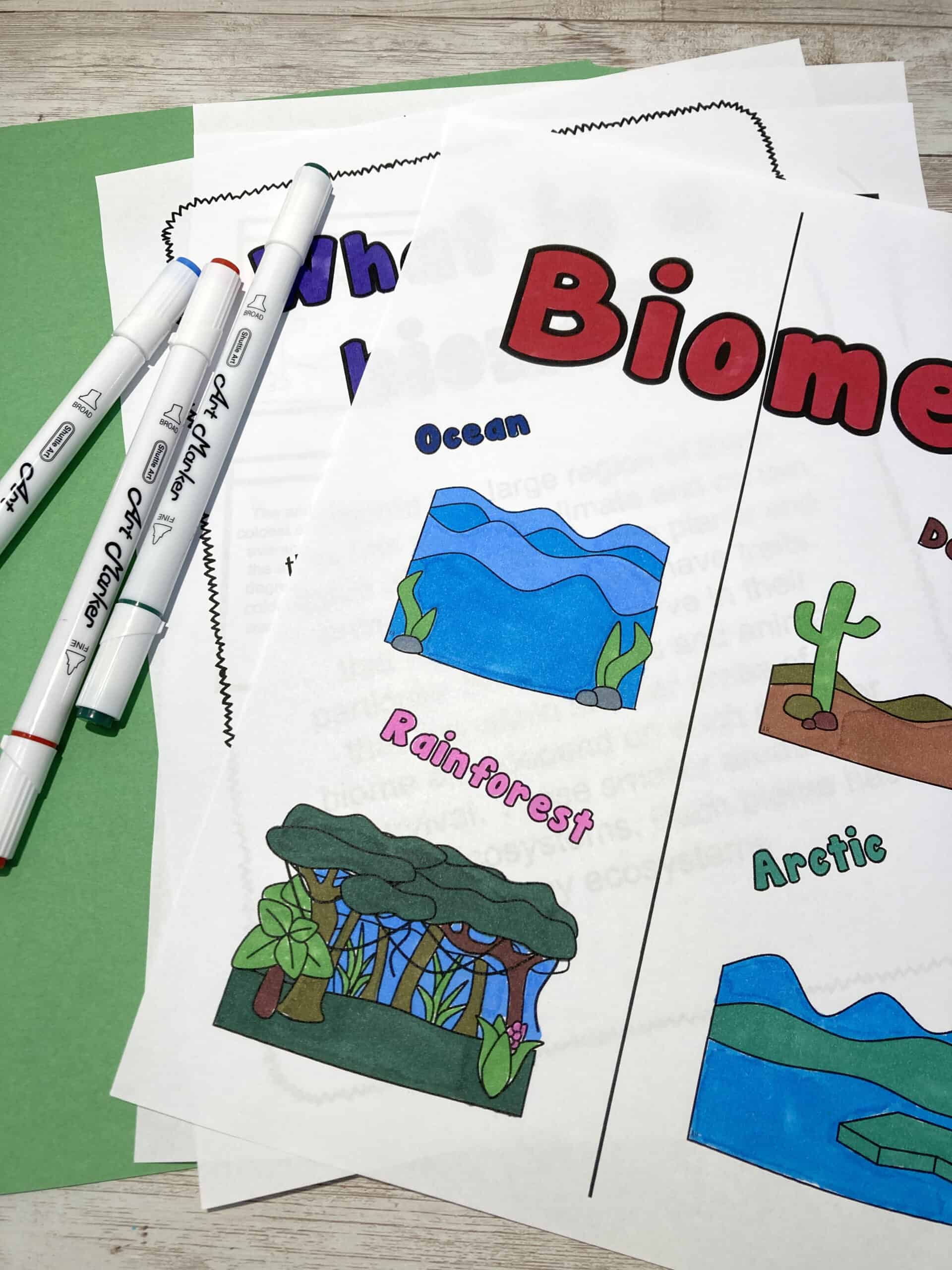 Printable Biomes Lapbook Activity - Little Bins for Little Hands