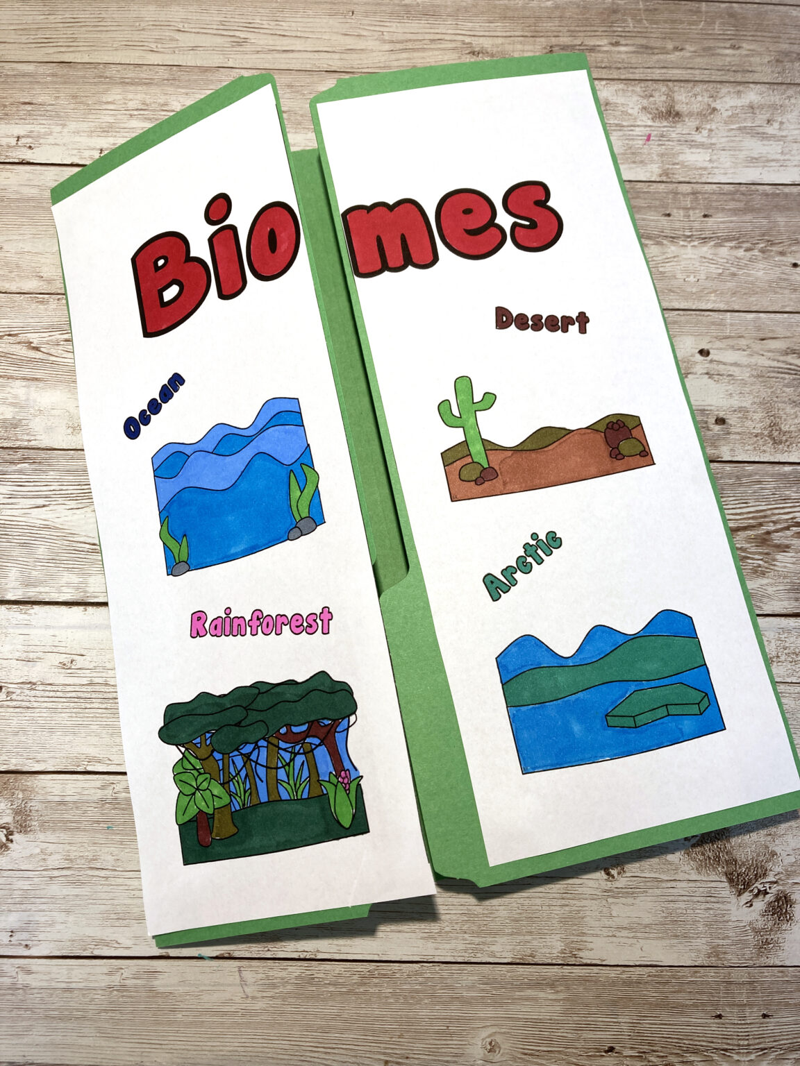 Printable Biomes Lapbook Activity - Little Bins for Little Hands