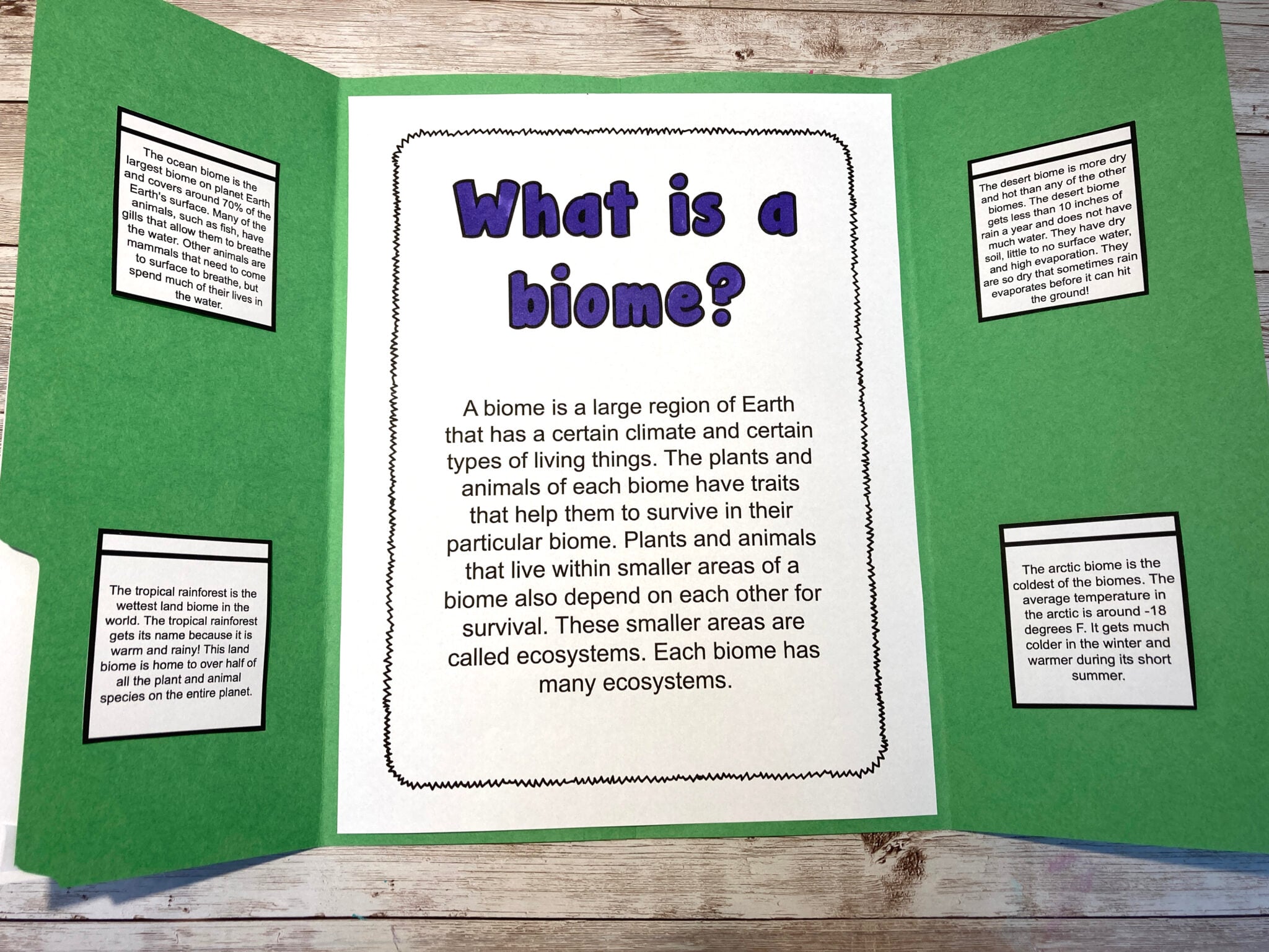 Printable Biomes Lapbook Activity - Little Bins for Little Hands