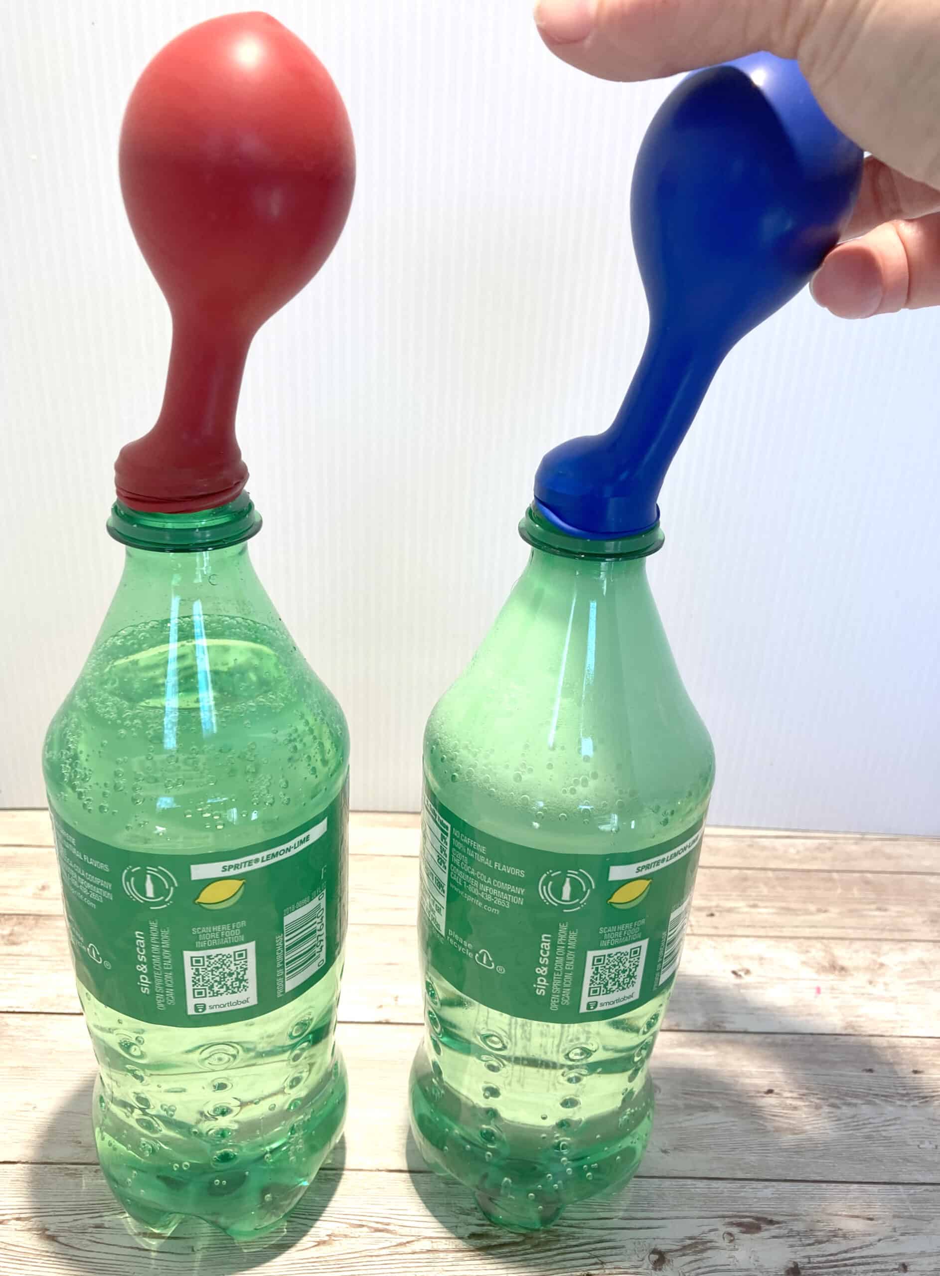 Soda Balloon Experiment - Little Bins for Little Hands
