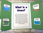 Printable Biomes Lapbook Activity - Little Bins for Little Hands