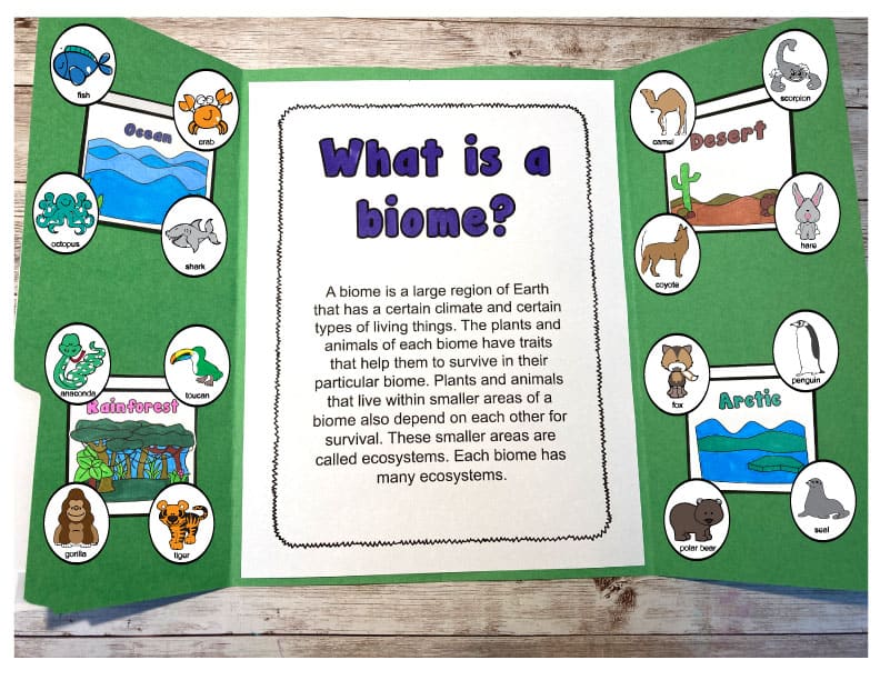 Printable Biomes Lapbook Activity - Little Bins for Little Hands
