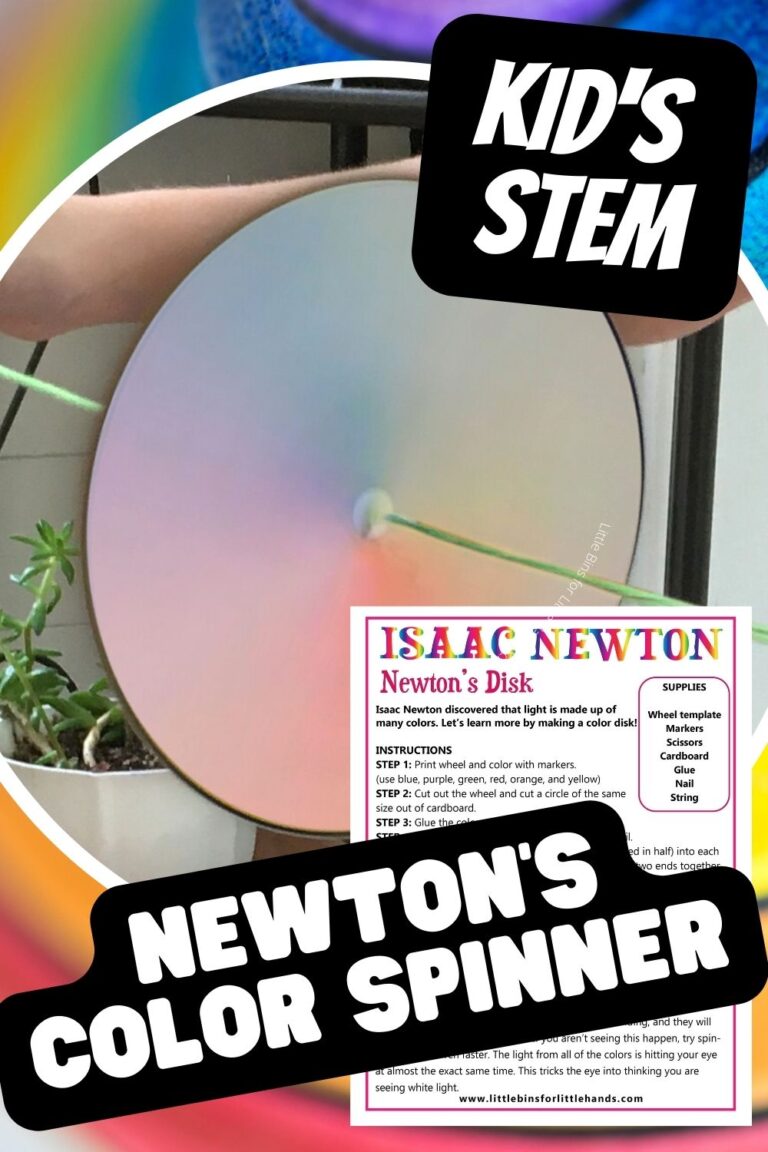 Color Wheel Spinner For STEM - Little Bins for Little Hands