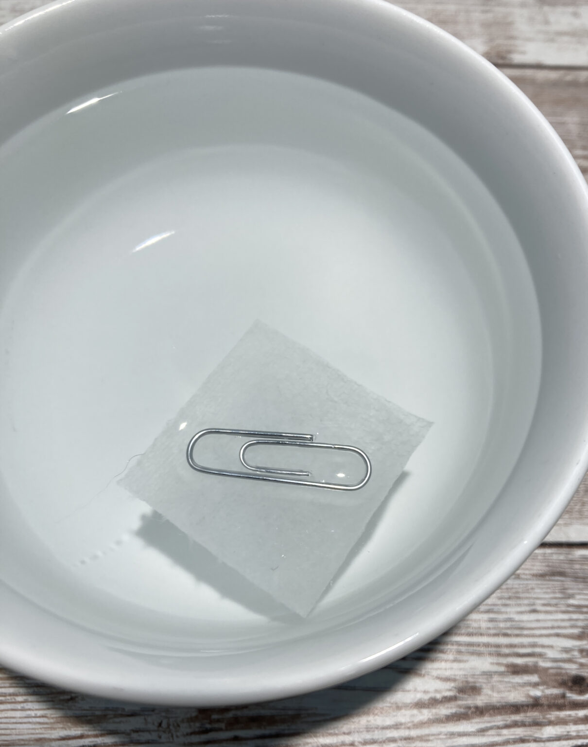 How to Make a Paperclip Float