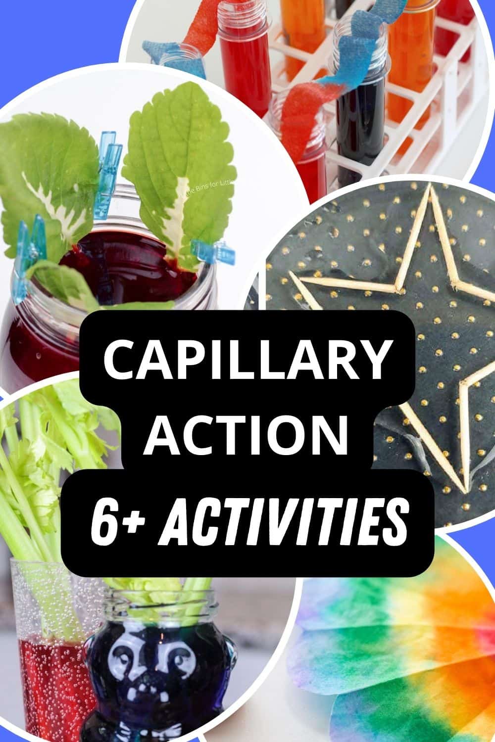 Capillary Action For Kids - Little Bins for Little Hands