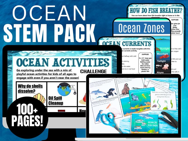 Coral Reef STEAM Project (Ecology)