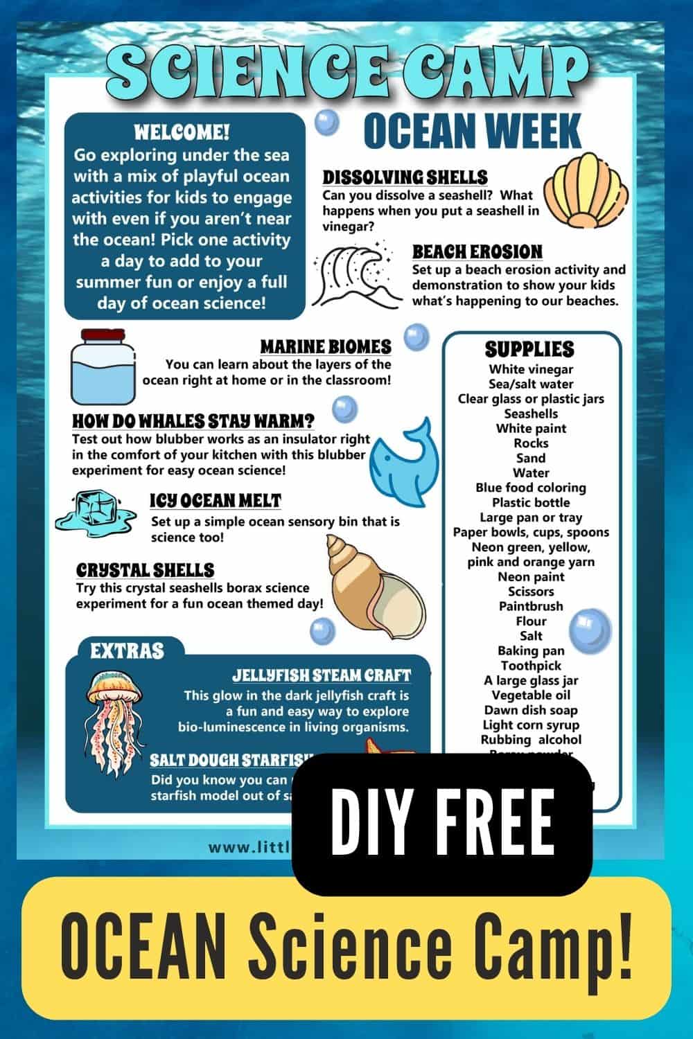 Ocean Science Camp for Kids | Hands-On Marine Activities