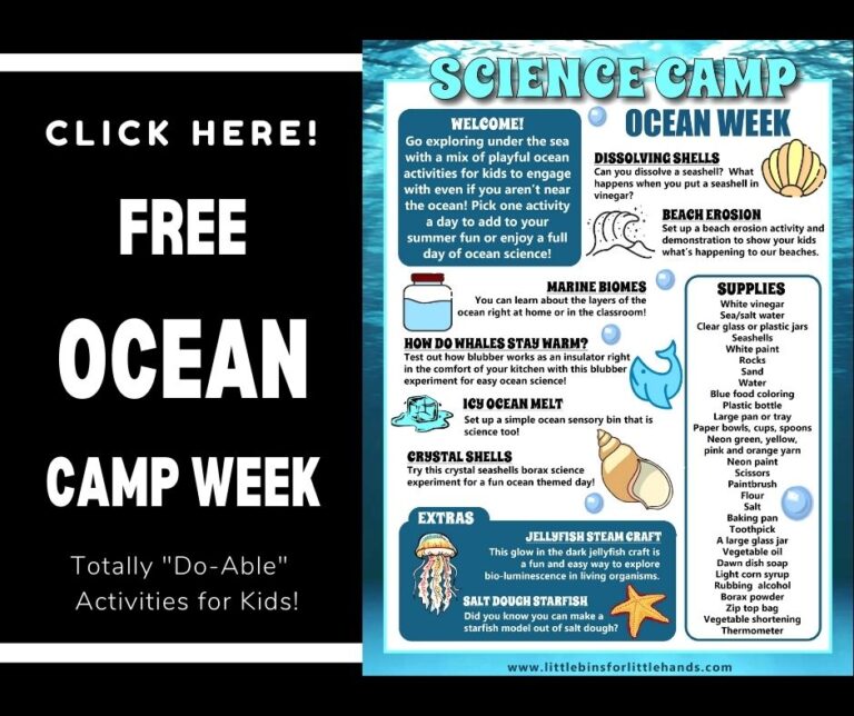 Ocean Science Camp for Kids | Hands-On Marine Activities