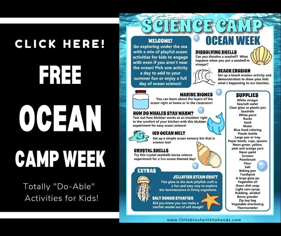 Ocean Science Camp for Kids | Hands-On Marine Activities