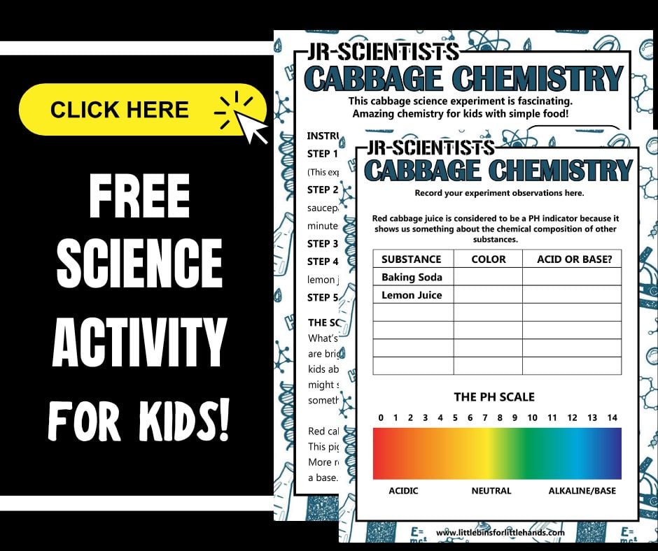 Red Cabbage pH Indicator Experiment for Kids | Easy Chemistry