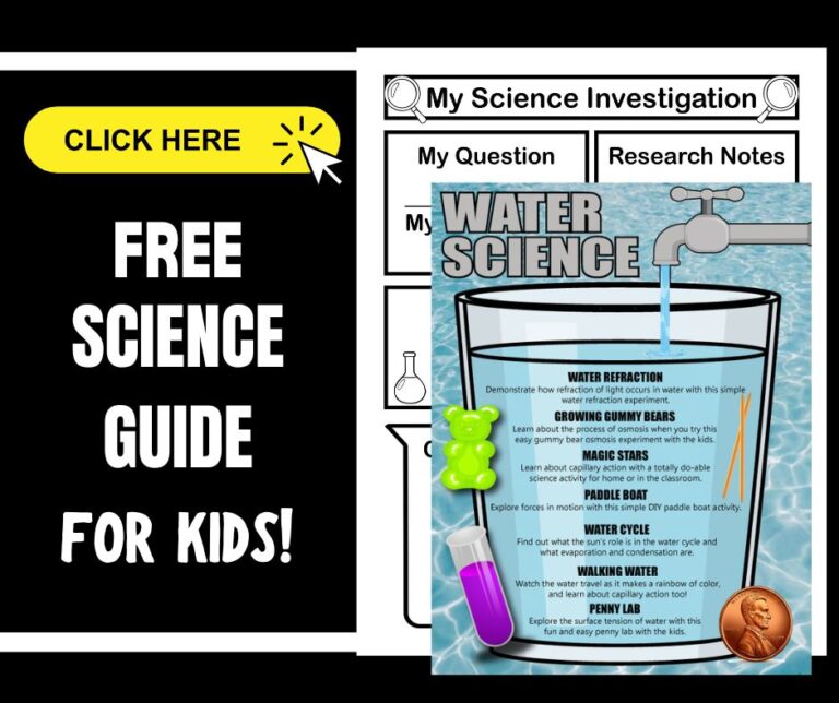 Science Experiments with Water - Little Bins for Little Hands