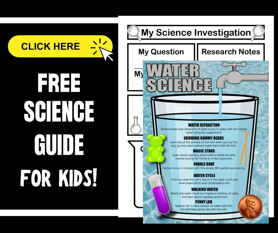 Science Experiments with Water - Little Bins for Little Hands