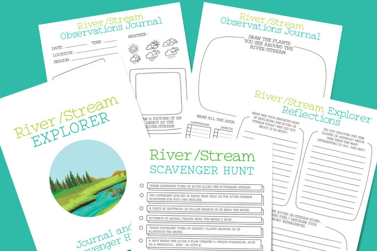 Water Science Camp for Kids - Little Bins for Little Hands