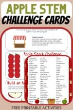 Apple STEM Challenge Cards - Little Bins for Little Hands