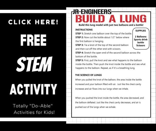 DIY Lung Model for Kids | Respiratory System Science Activity