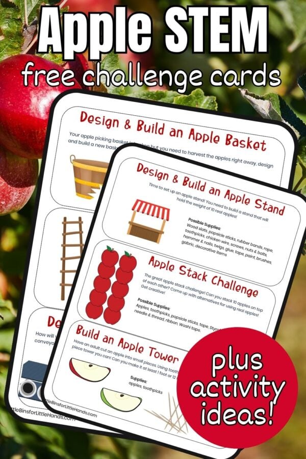 Apple STEM Challenge Cards - Little Bins for Little Hands