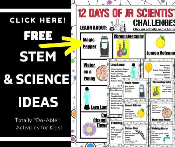 30 Easy Water Experiments For Kids - Little Bins for Little Hands
