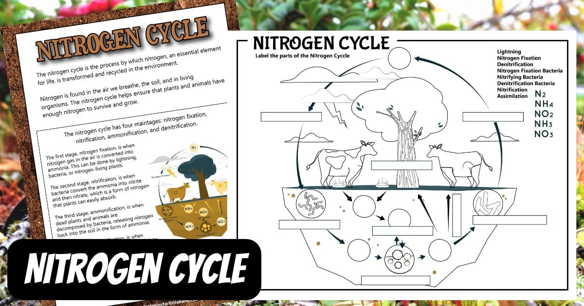 Cycles of Matter for Kids | 9 Fun Science Activities