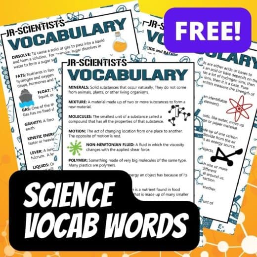 Science Activities Archives - Little Bins for Little Hands