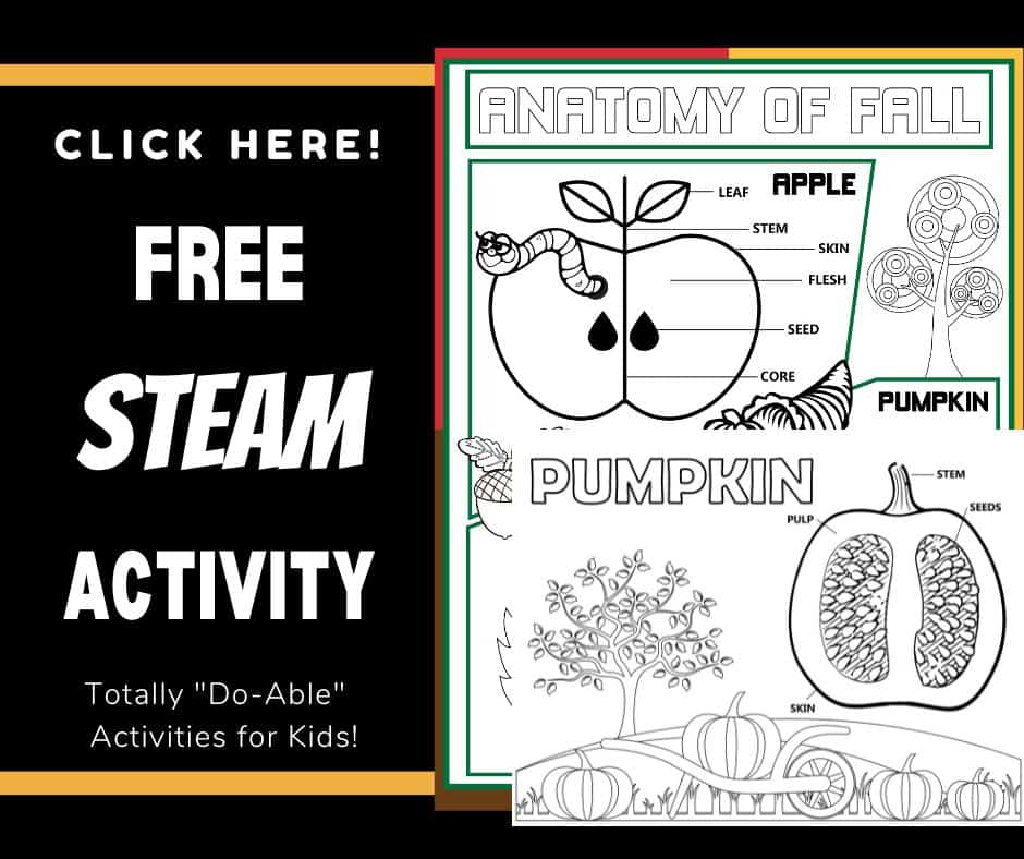 Parts Of A Pumpkin Printable Worksheet