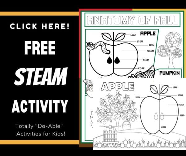 Parts Of An Apple Printable - Little Bins for Little Hands