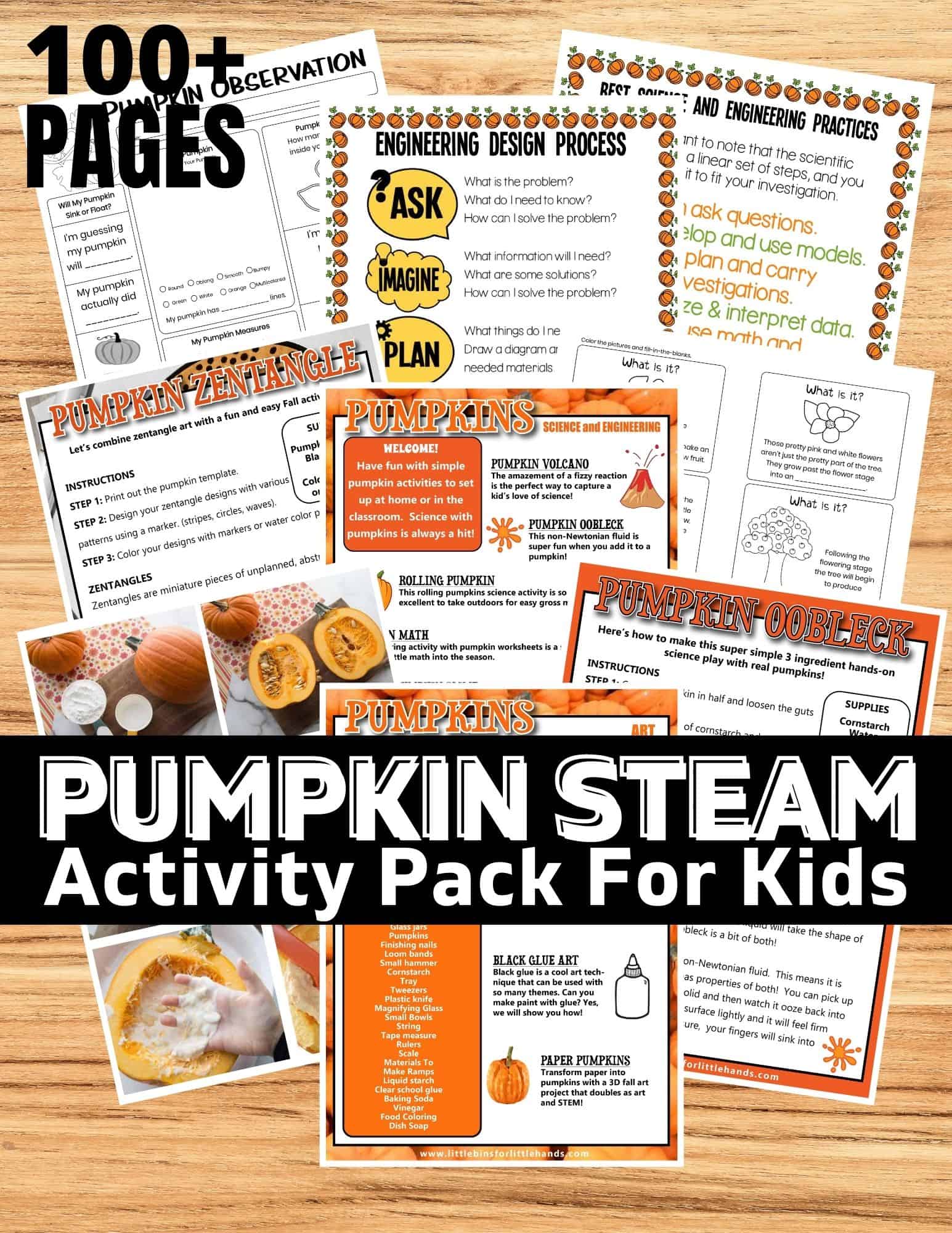 Pumpkin Books & Activities for Fall STEM - Little Bins for Little Hands