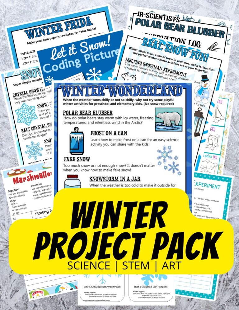 Winter Worksheets - Little Bins for Little Hands