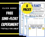 Easy Sink or Float Experiment For Kids - Little Bins for Little Hands