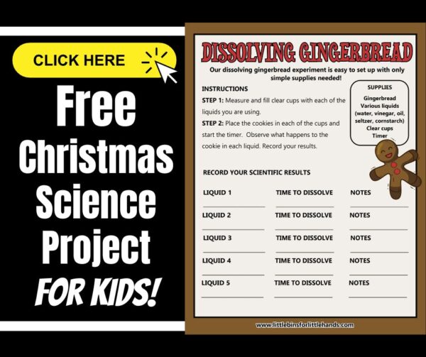 Dissolving Gingerbread Man Cookie Experiment - Little Bins for Little Hands