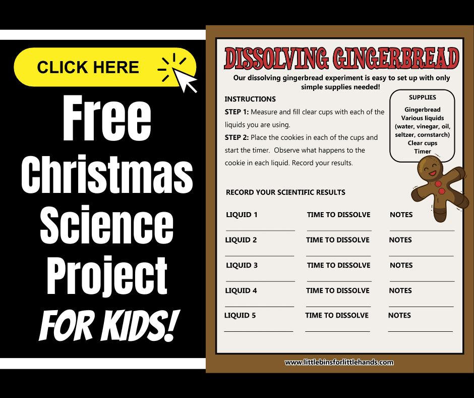 Dissolving Gingerbread Man Cookie Experiment - Little Bins for Little Hands
