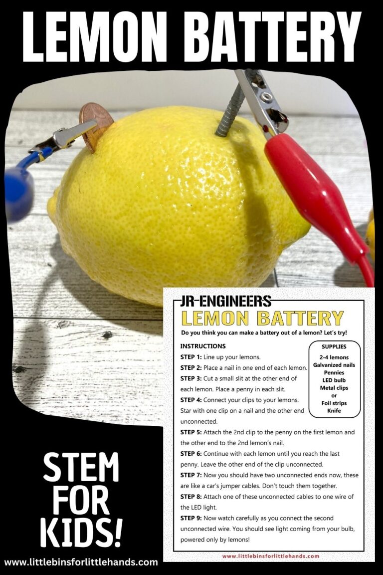 How To Make a Lemon Battery | Little Bins for Little Hands