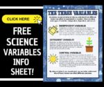 What Are Variables In Science - Little Bins for Little Hands