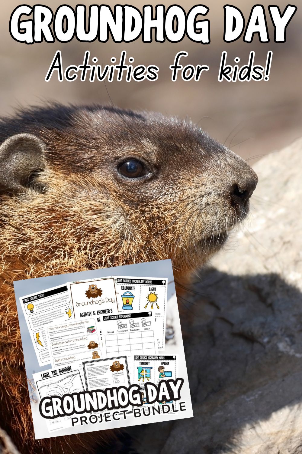 Groundhog Day Activities for Kids (STEM, Science & Shadows)