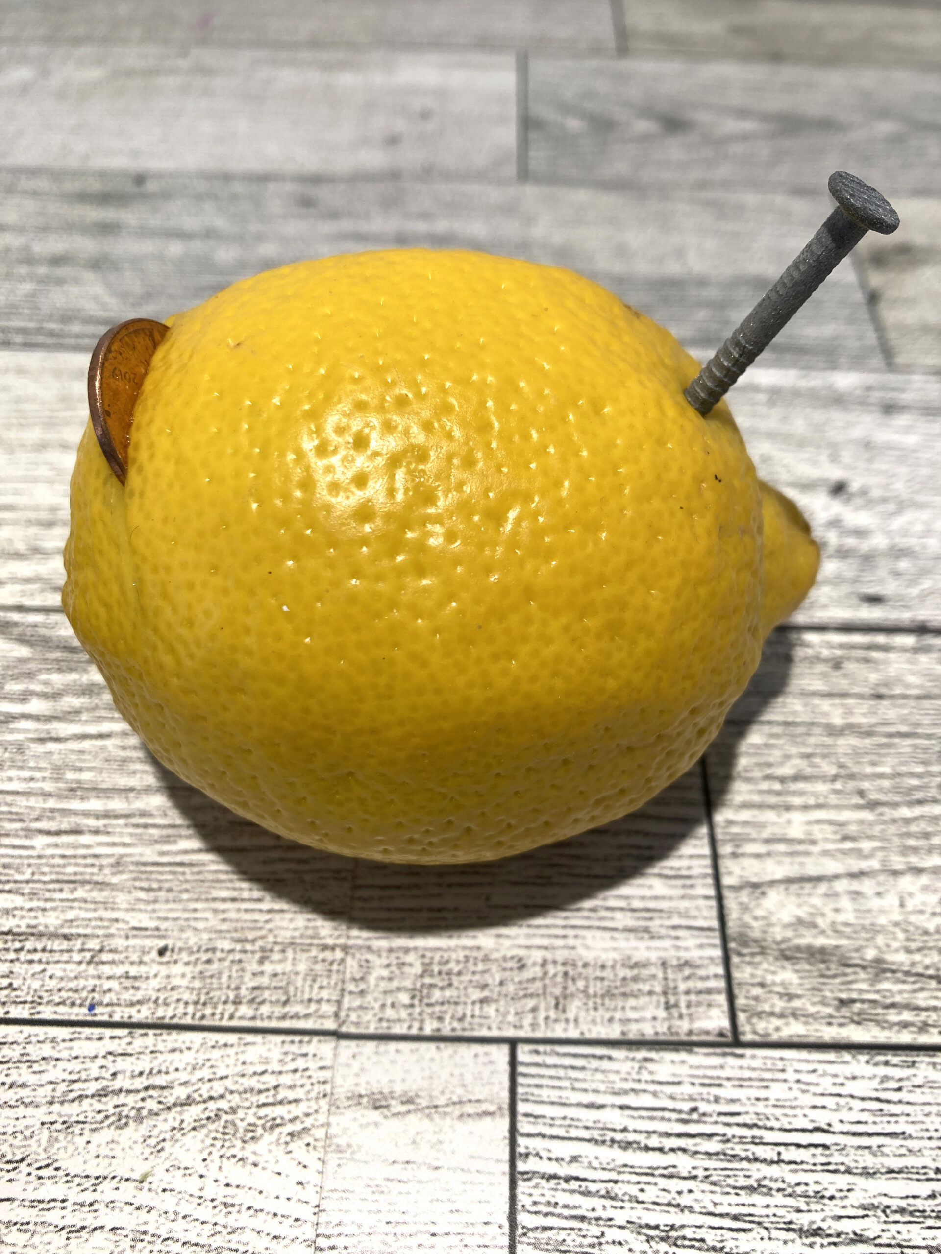 How To Make a Lemon Battery | Little Bins for Little Hands