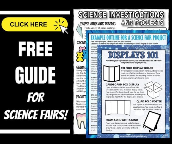 Easy Science Fair Projects for Kids - Little Bins for Little Hands