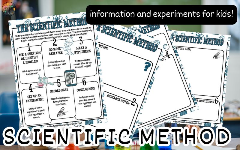 Scientific Method For Kids With Examples - Little Bins for Little Hands