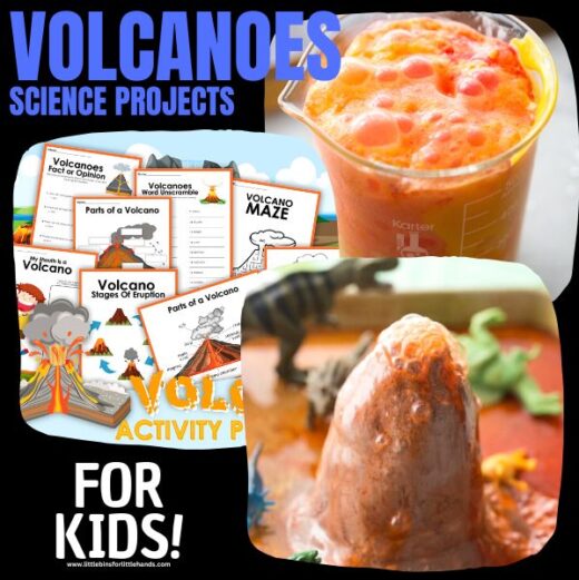 6th Grade Science Projects - Little Bins for Little Hands