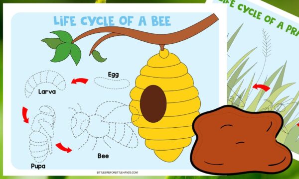 Bug Playdough Mats - Little Bins for Little Hands