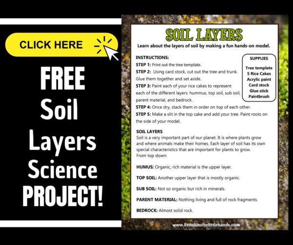 Layers Of Soil Activity - Little Bins for Little Hands