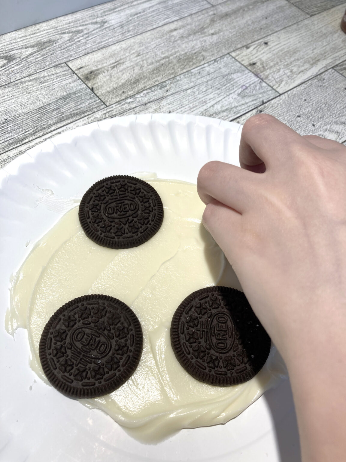 Edible Plate Tectonics Model - Little Bins for Little Hands