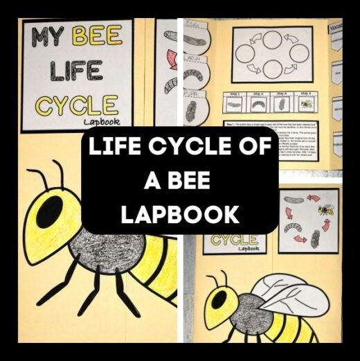 What Is a Lapbook? Easy Lapbook Ideas for Kids