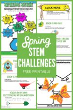 Spring STEM Challenge Cards